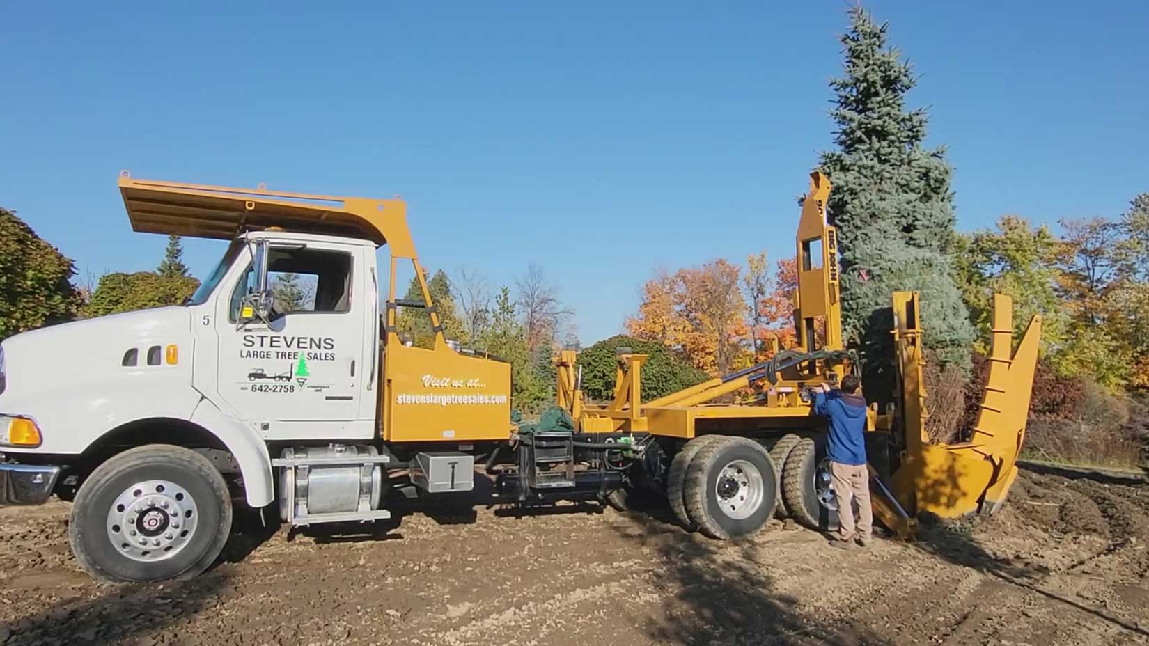 The Planting Process – Stevens Large Tree Sales