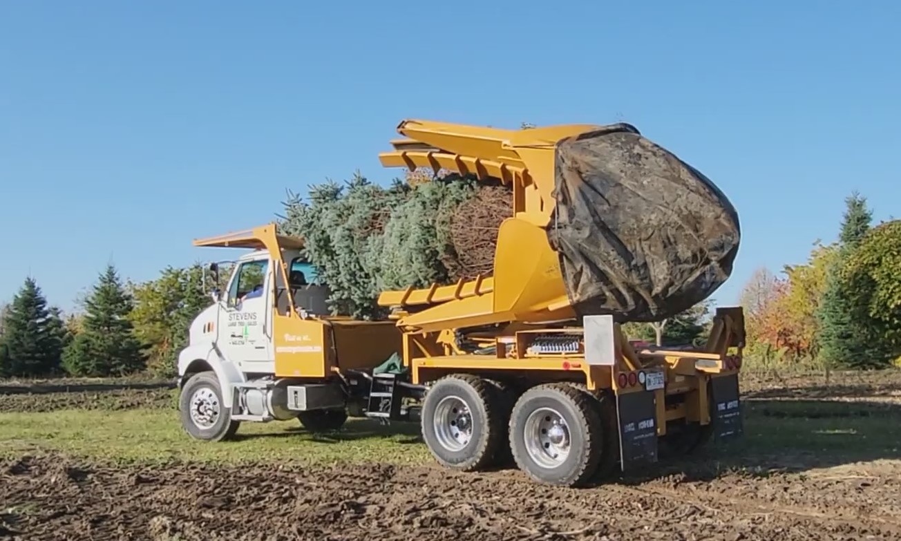 The Planting Process – Stevens Large Tree Sales