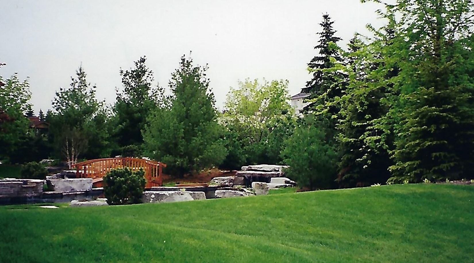 Completed Projects – Stevens Large Tree Sales